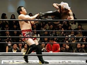 What Is Shootfighting That You Should Know About? – MMA Channel