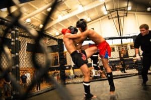 What is a Clinch in MMA? Easily Explained – MMA Channel