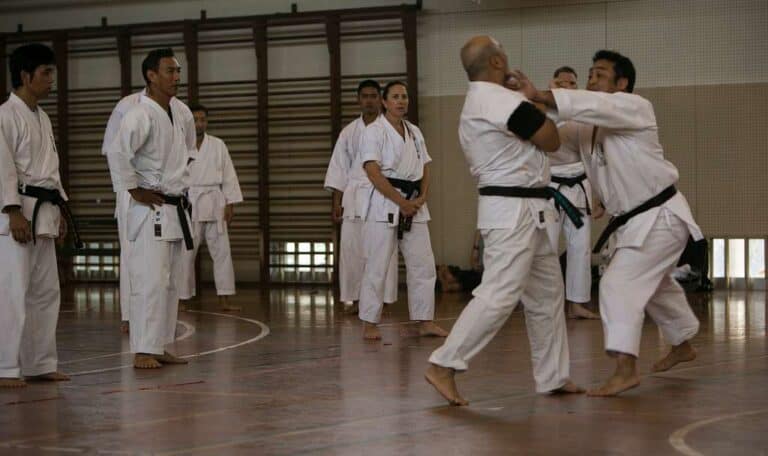 Is Karate Effective in a Street Fight? A Beginner’s Guide – MMA Channel