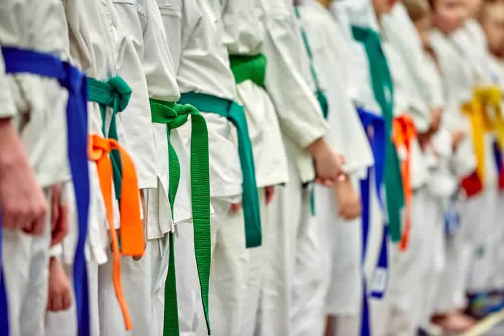 Taekwondo Belt Ranking System EASILY Explained For Beginners MMA
