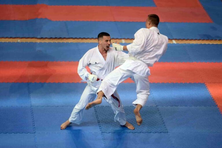 What Is Shotokan Karate? Easily Explained For Beginners – MMA Channel