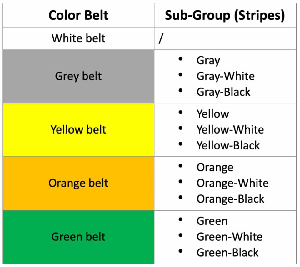 How Does Belt Promotion Work in BJJ? Complete Beginner’s Guide – MMA ...