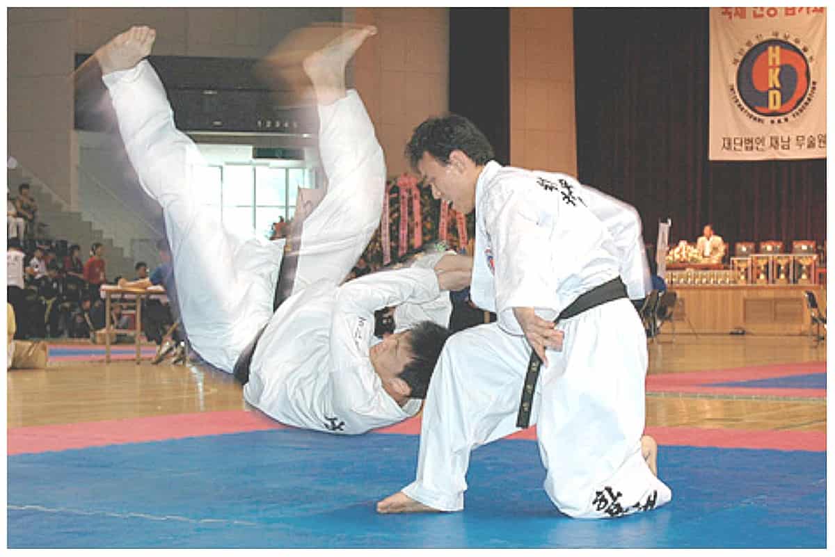 What is Hapkido? Guide to an Effective, Forgotten Martial Art – MMA Channel