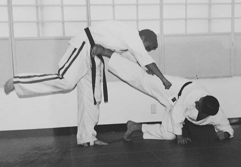What is Okinawan Karate? An Introductory Guide for Beginners – MMA Channel